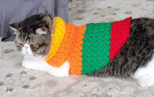 Free Cat Sweater Pattern – Dances With Wools